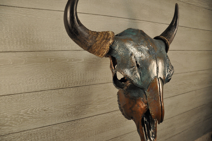 Longhorn Skulls, Steer Horns, Bull Horns, Bison Skulls, Buffalo Skulls ...