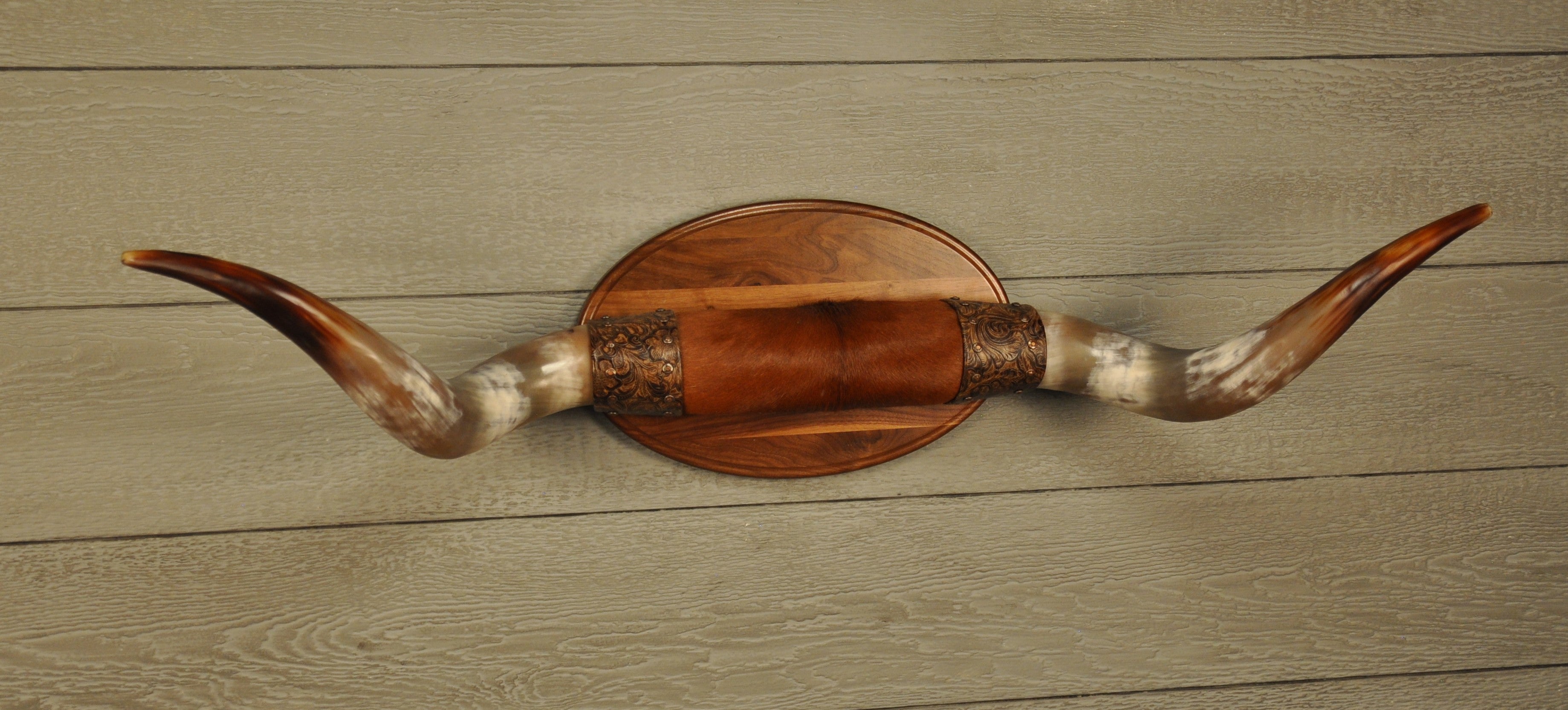 RED RIVER - 3' 7" Longhorn Mount – LONGHORN CUSTOM SKULLS