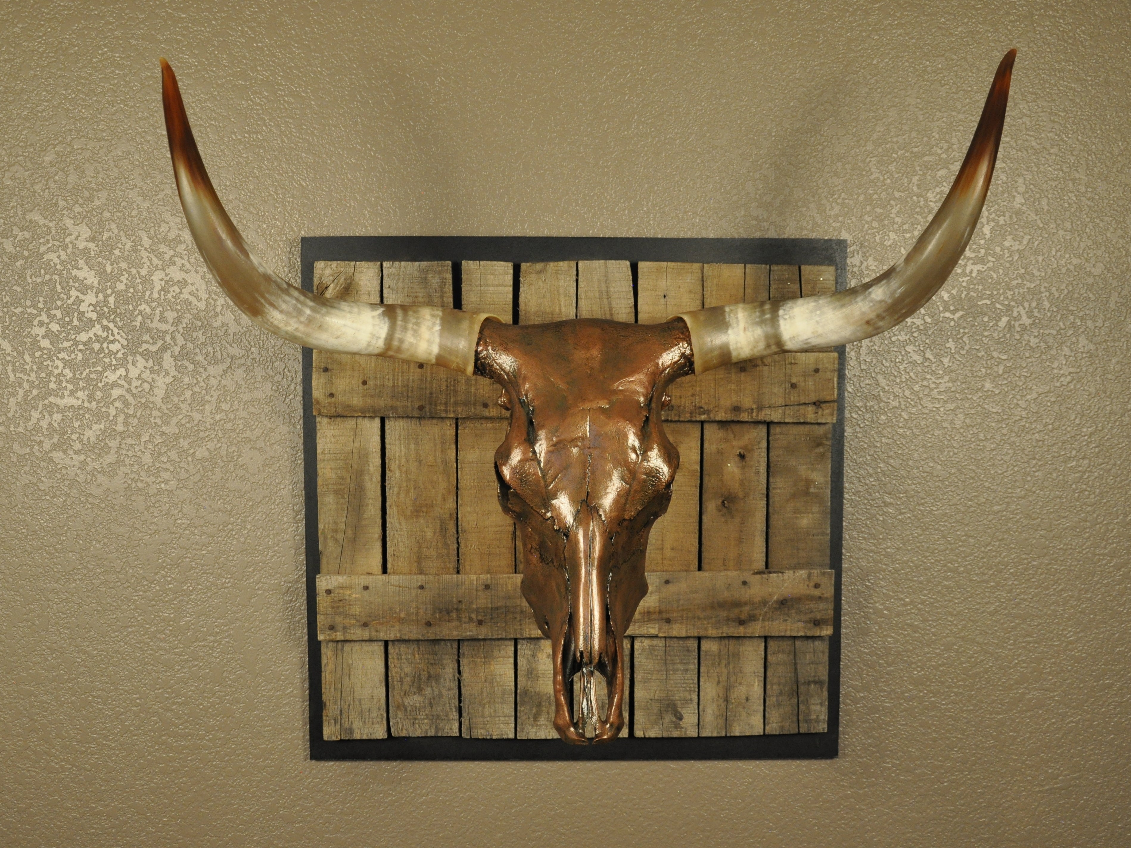 COPPERHEAD - 3' 3" Longhorn Skull – LONGHORN CUSTOM SKULLS