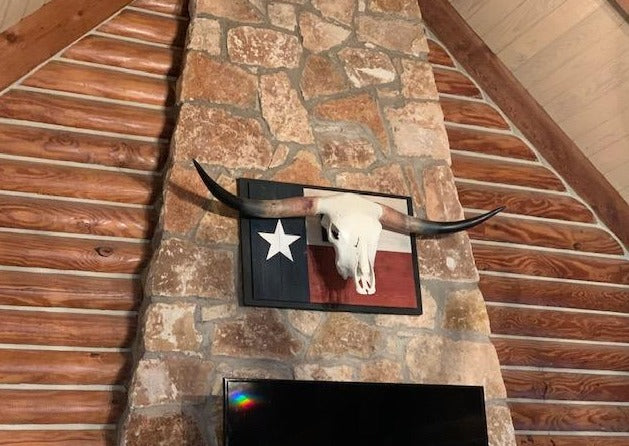 Custom Longhorn Artwork - Longhorn Skulls – LONGHORN CUSTOM SKULLS